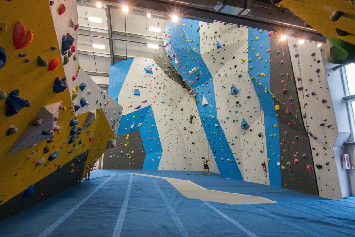 Papertrail for Climbing Gyms | Aerial Adventure Tech